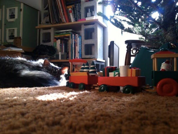 What Celebrating Yule Is Like As A Pagan