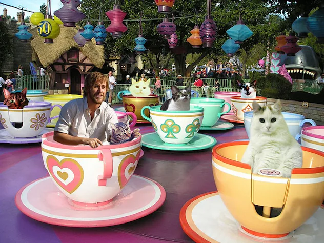 7 Ryan Gosling Memes That Prove the Internet Really Loves Him (Like ...
