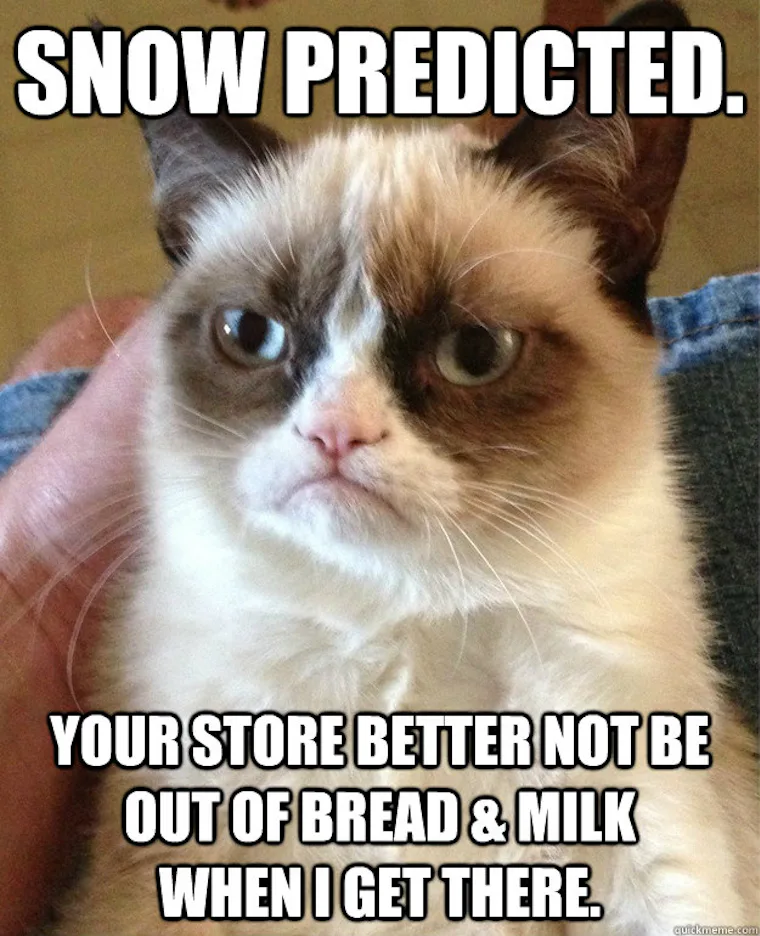 The Best Bread & Milk Memes About Storm Jonas Show People Aren't ...