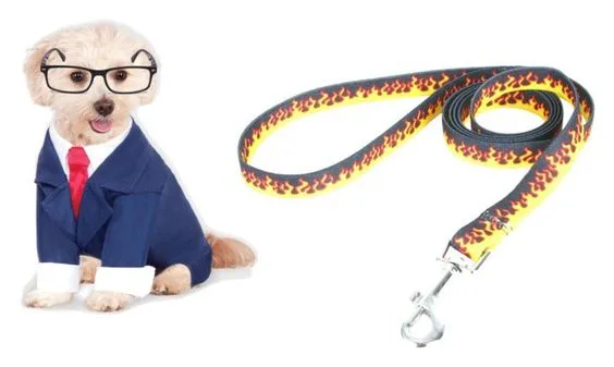 4 Funny Bernie Sanders Halloween Costumes For When You Can't Stop ...