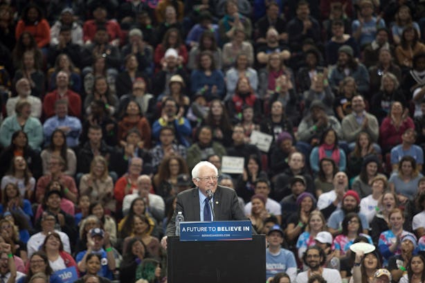 Bernie Sanders' Bird That Landed On His Podium Is Winning The Internet ...