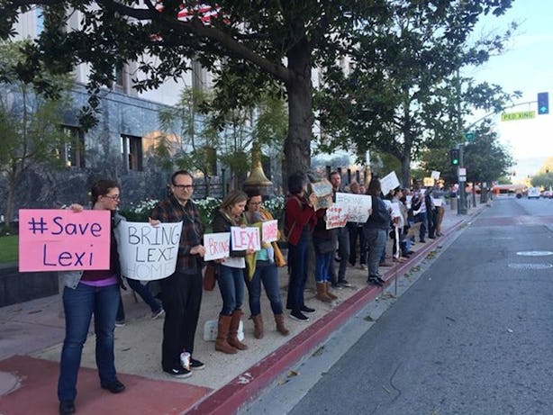 Why Lexi Should Be The Focus Of The "Save Lexi" Campaign