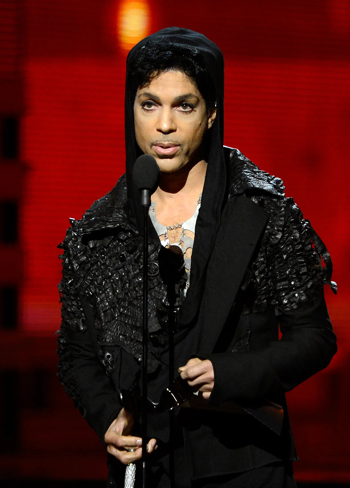 Was Prince Vegan? The Singer Had Earned Himself An Honor