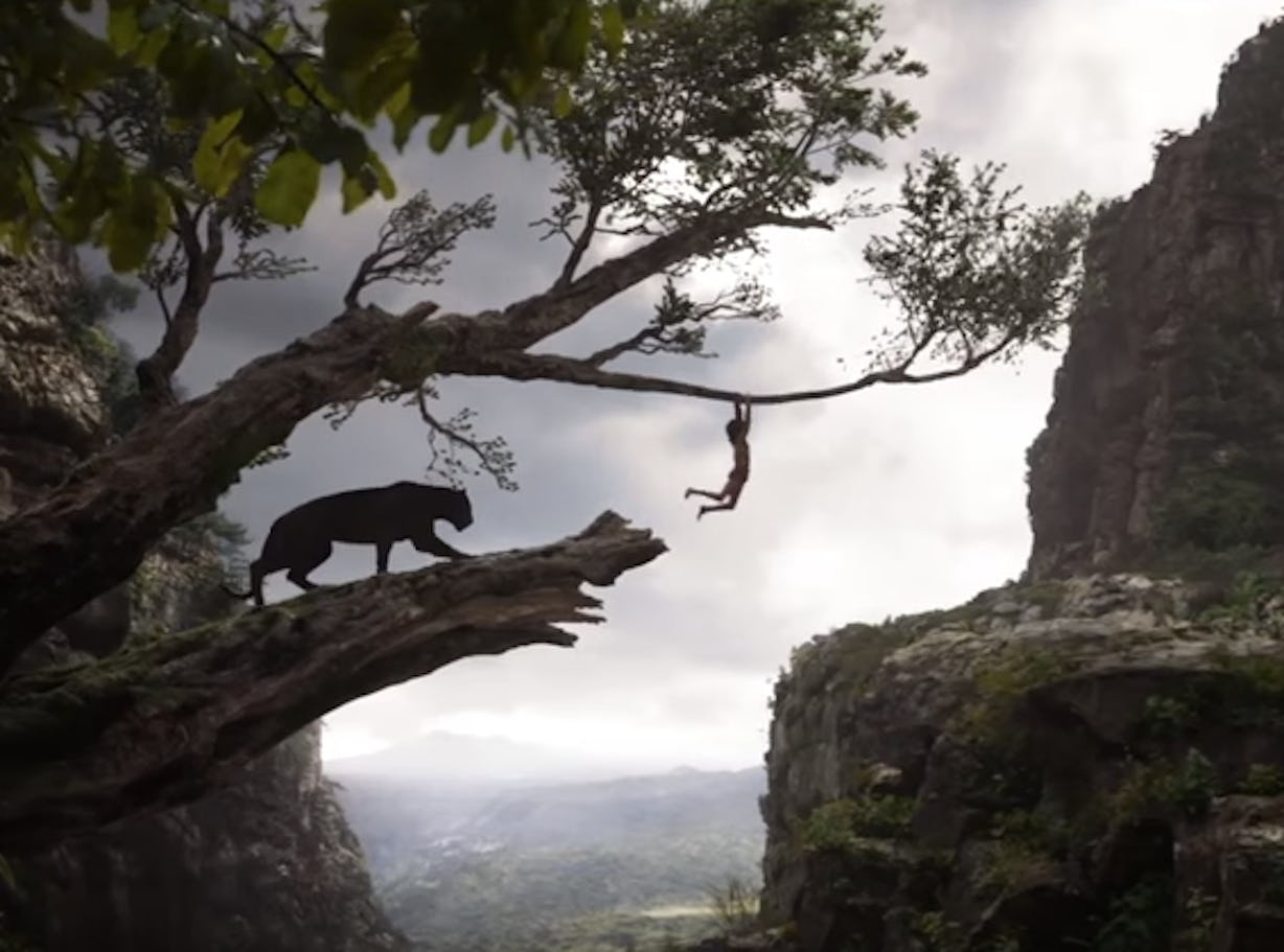 Where Was The Jungle Book Filmed The Jungle Background Almost Seems Real where-was-the-jungle-book-filmed-the-jungle-background-almost-seems-real