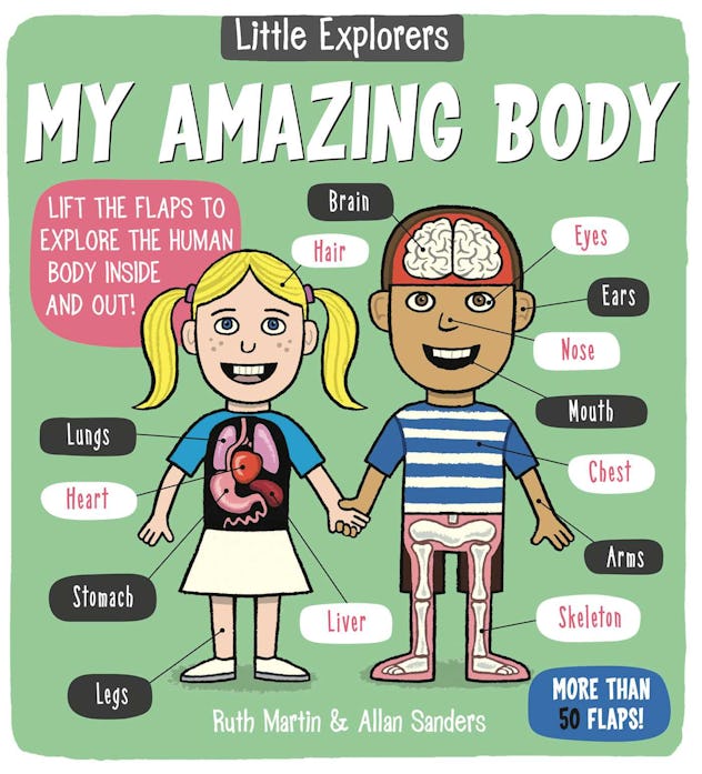 11 Books That Explain Anatomy To Your Kids Without Sugarcoating It