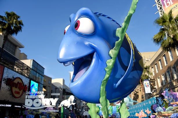 How Did Dory Lose Her Memory? The New Film Focuses on Dory's Story