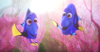 How Did Dory Find Her Parents? 'Finding Dory' Puts Dory On An Adventure ...