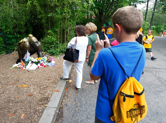 How To Explain Harambe's Death To Your Kid