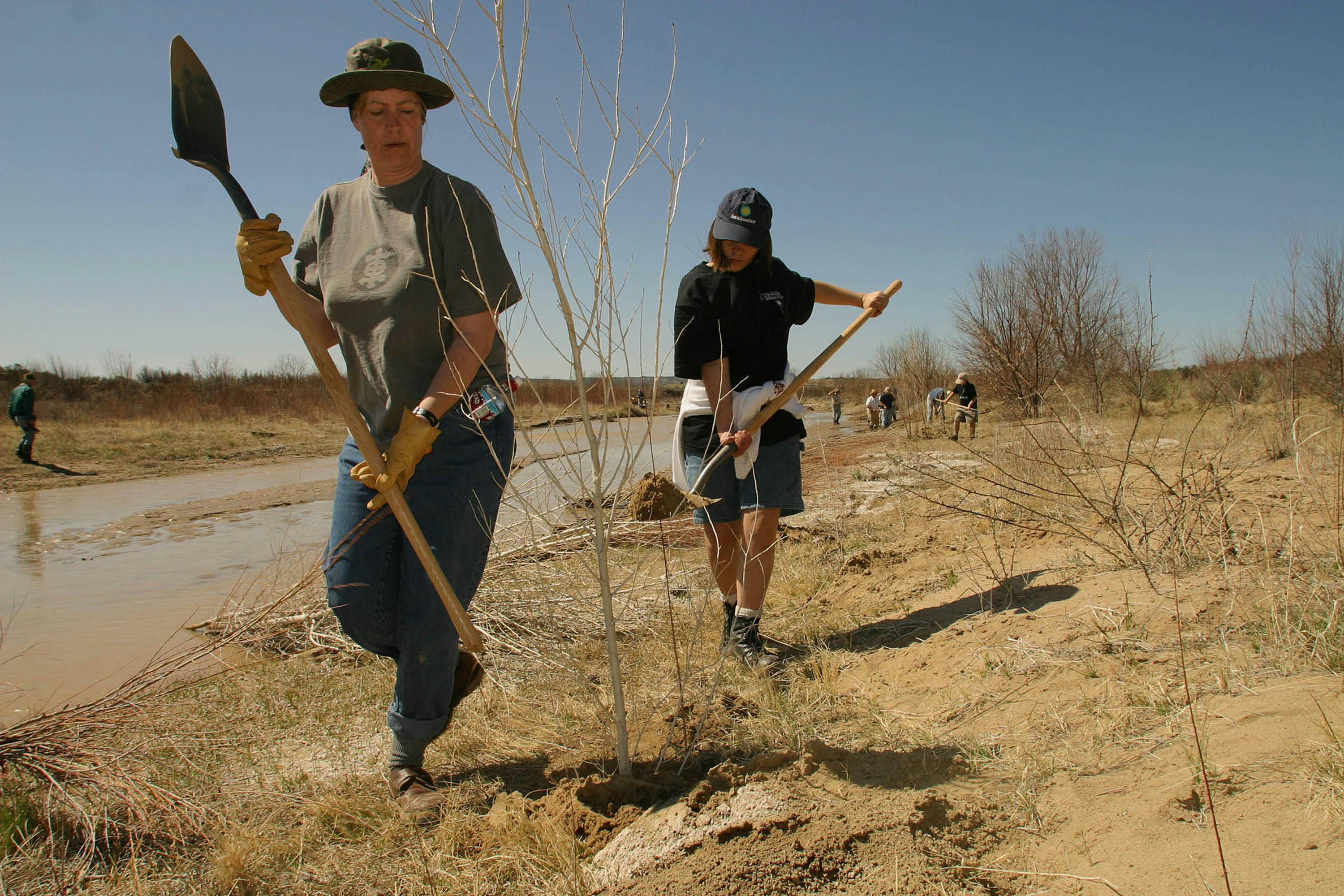 The Best Spring Break Volunteer Trips To Take In 2017