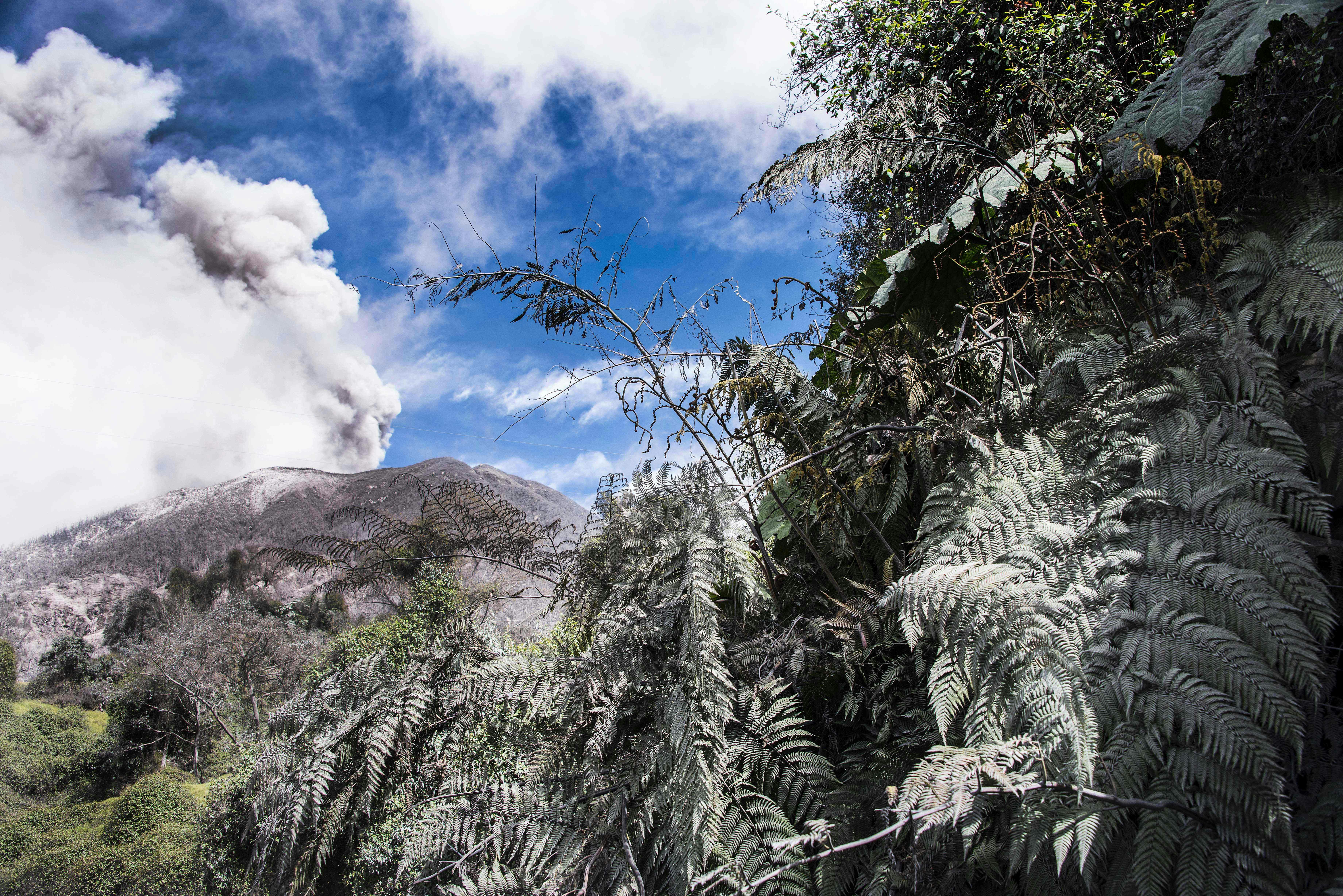 The Best Spring Break Volunteer Trips To Take In 2017