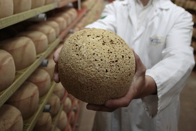 The Weirdest Cheeses You've Probably Never Heard Of