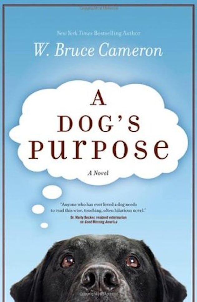11 Heartwarming Books For Dog-Lovers