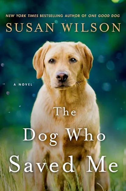 11 Heartwarming Books For Dog-Lovers