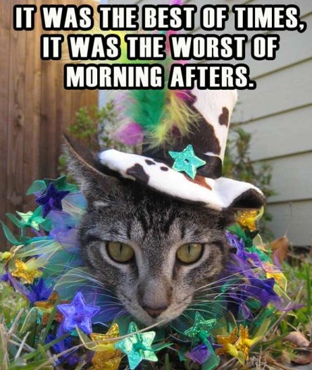 Mardi Gras Memes That Are As Hilarious As They Are True
