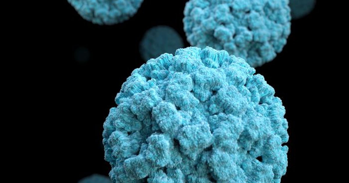 How Long Does Norovirus Last How Do I Know If I Have It how-long-does-norovirus-last-how-do-i-know-if-i-have-it