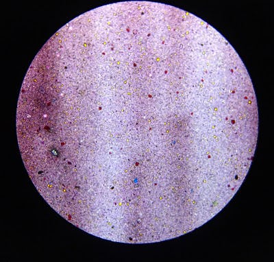 This Woman Put Her Lipstick Under A Microscope & What She Found Is ...