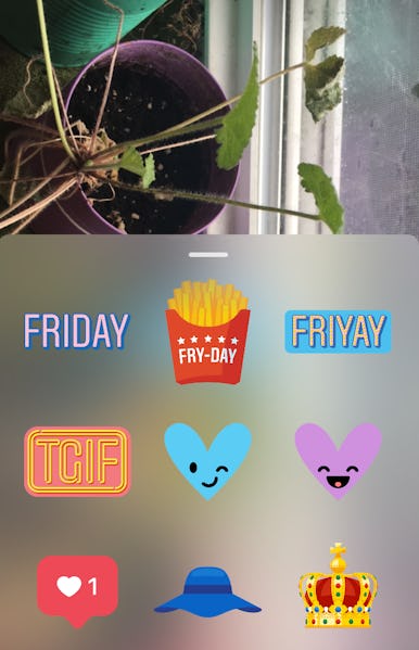 Instagram Days Of The Week Stickers Are Here To Make Your Stories Even ...