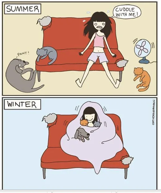 Hilarious Pet Memes For National Pet Day 2017 That Are Super Relatable