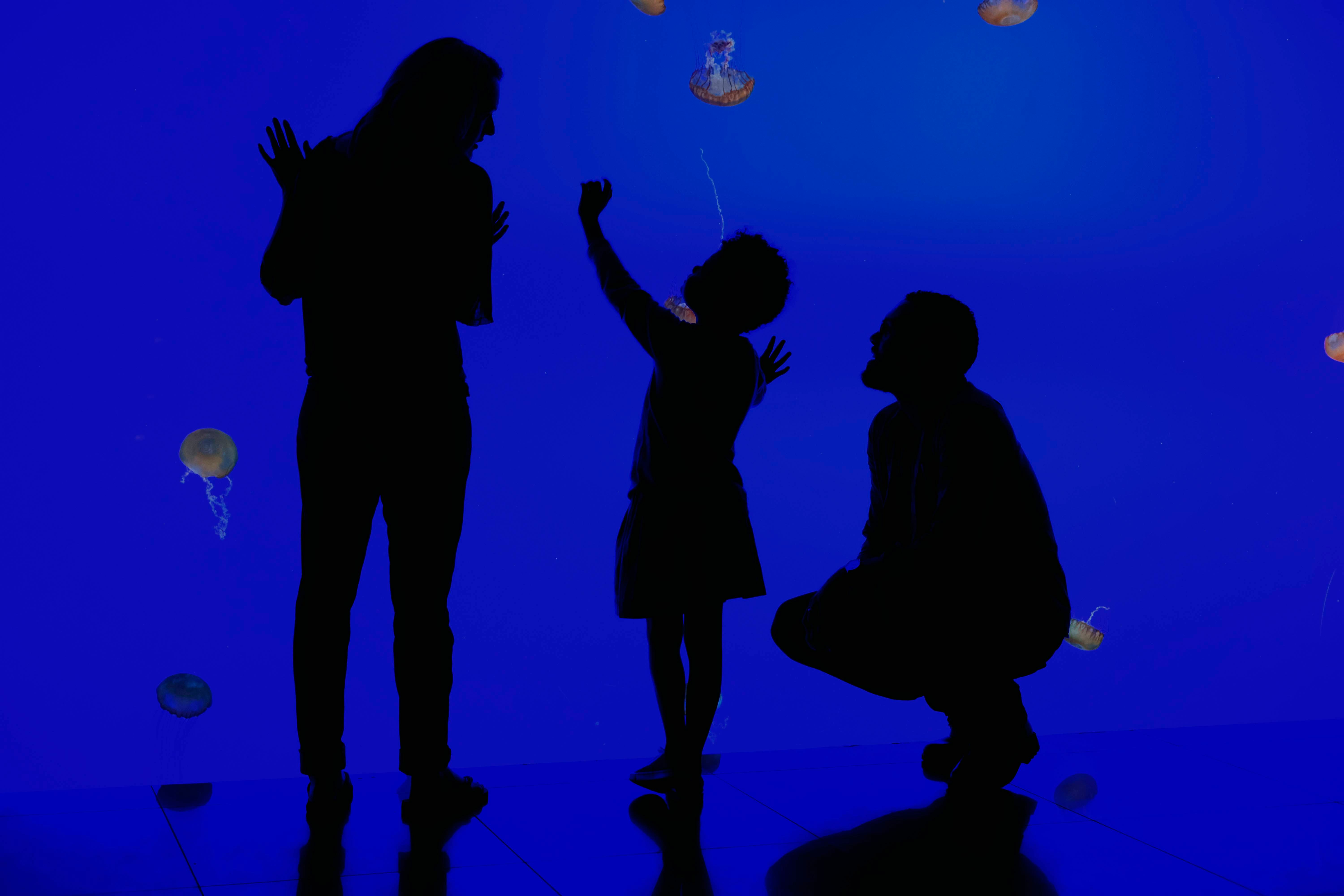 What Happens To Offred's Daughter In 'The Handmaid's Tale' Book? Her ...