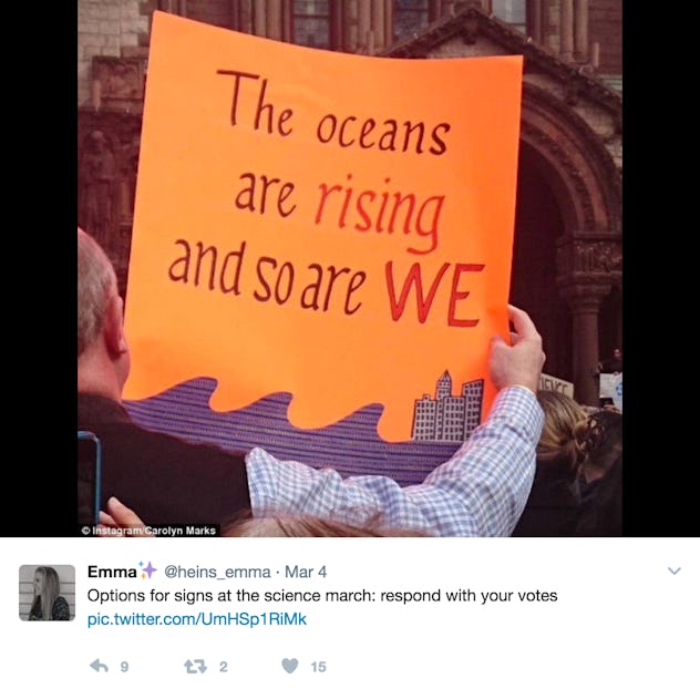 16 Powerful March For Science Sign Ideas