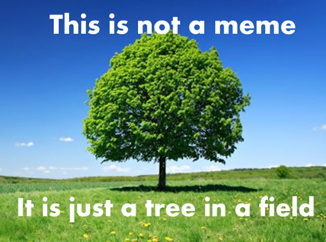 Arbor Day 2017 Memes That Will Remind You Just How Important Trees Are