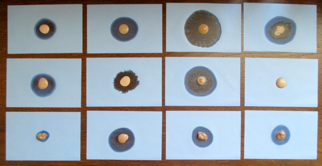 How Oily Is Your Favorite Foundation? Ranking The Dewiness Of Holy ...