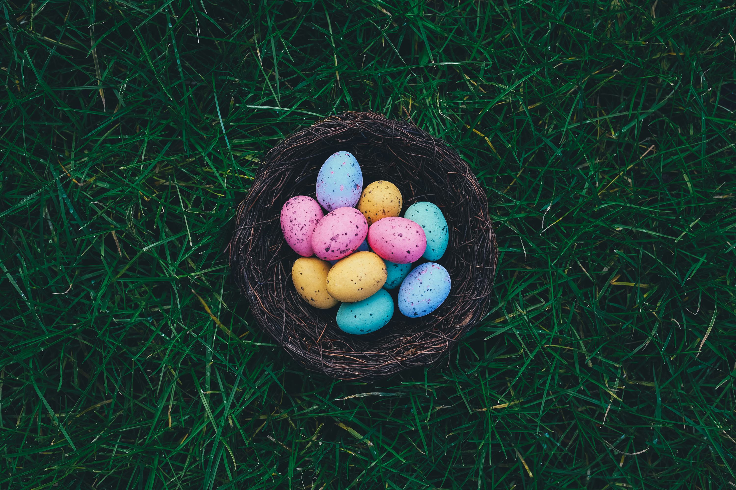 13 Things You Didn't Know About Easter That Go Beyond The Typical ...