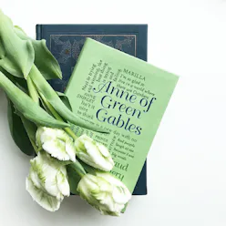 25 Classic YA Books Every Woman Should Read At Least Once