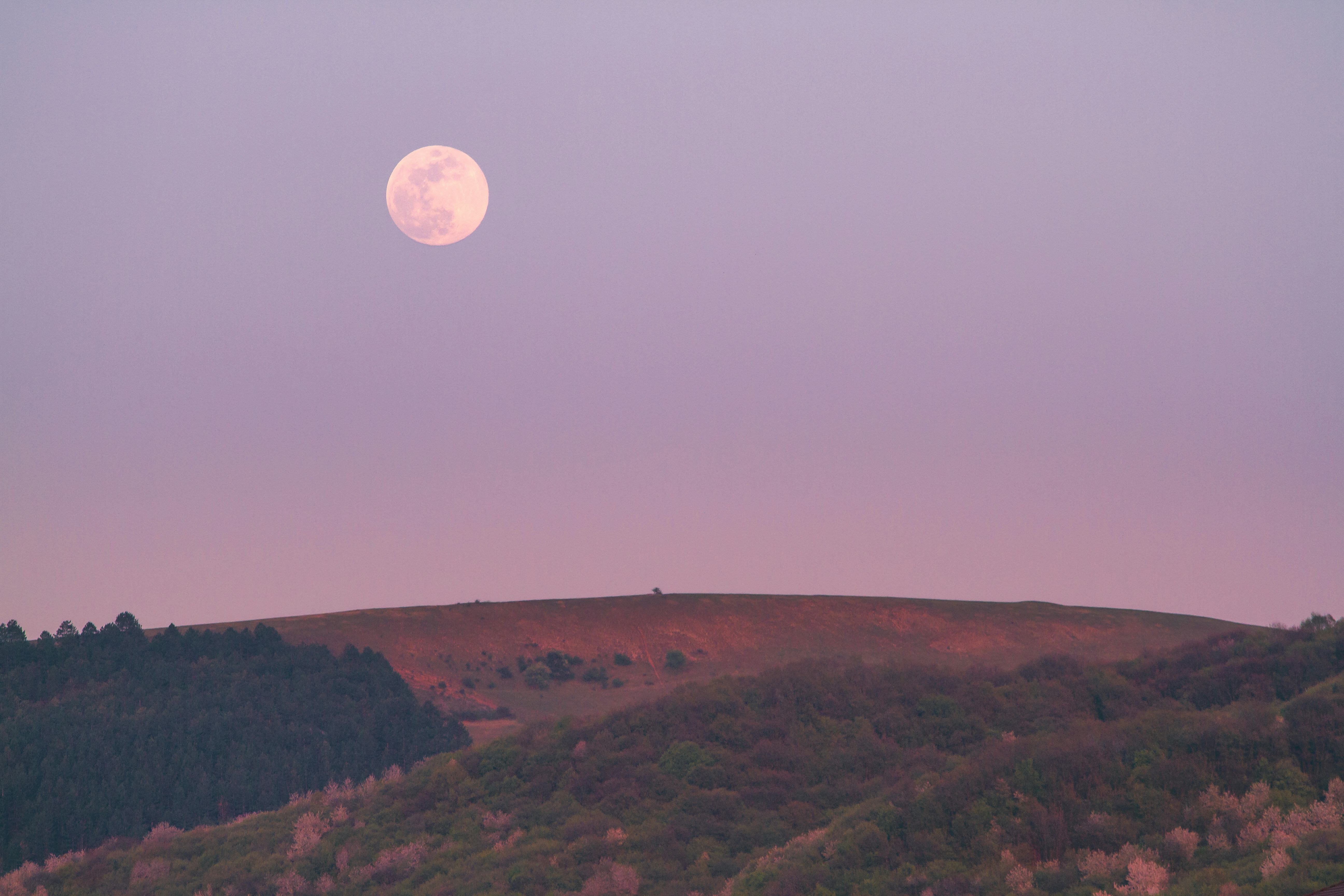 Is The Strawberry Moon 2017 Rare? Here's How Often You Can Experience ...