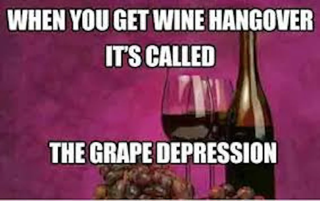 Hilarious Rose Memes for National Rose Day Because "Rose All Day" Is ...