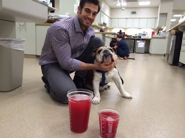 This Hot Veterinarian Posing With Cute Animals Will Make You Melt (Photos)
