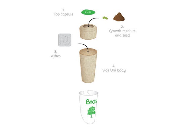 This Eco-Friendly Urn Will Turn Your Cremated Remains Into A Tree
