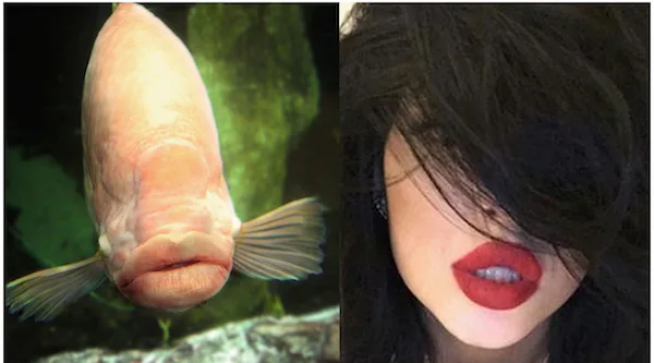 12 Fish That Look Just Like Girls Who Did The Kylie Jenner Challenge