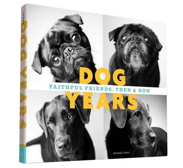 This Touching Photo Project Captures Beloved Dogs As They Get Older