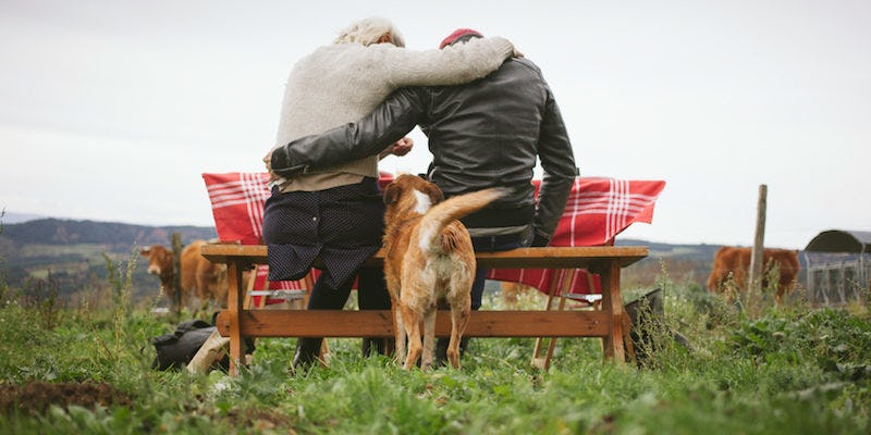 7 Things You Need To Know About Adopting A New Pet