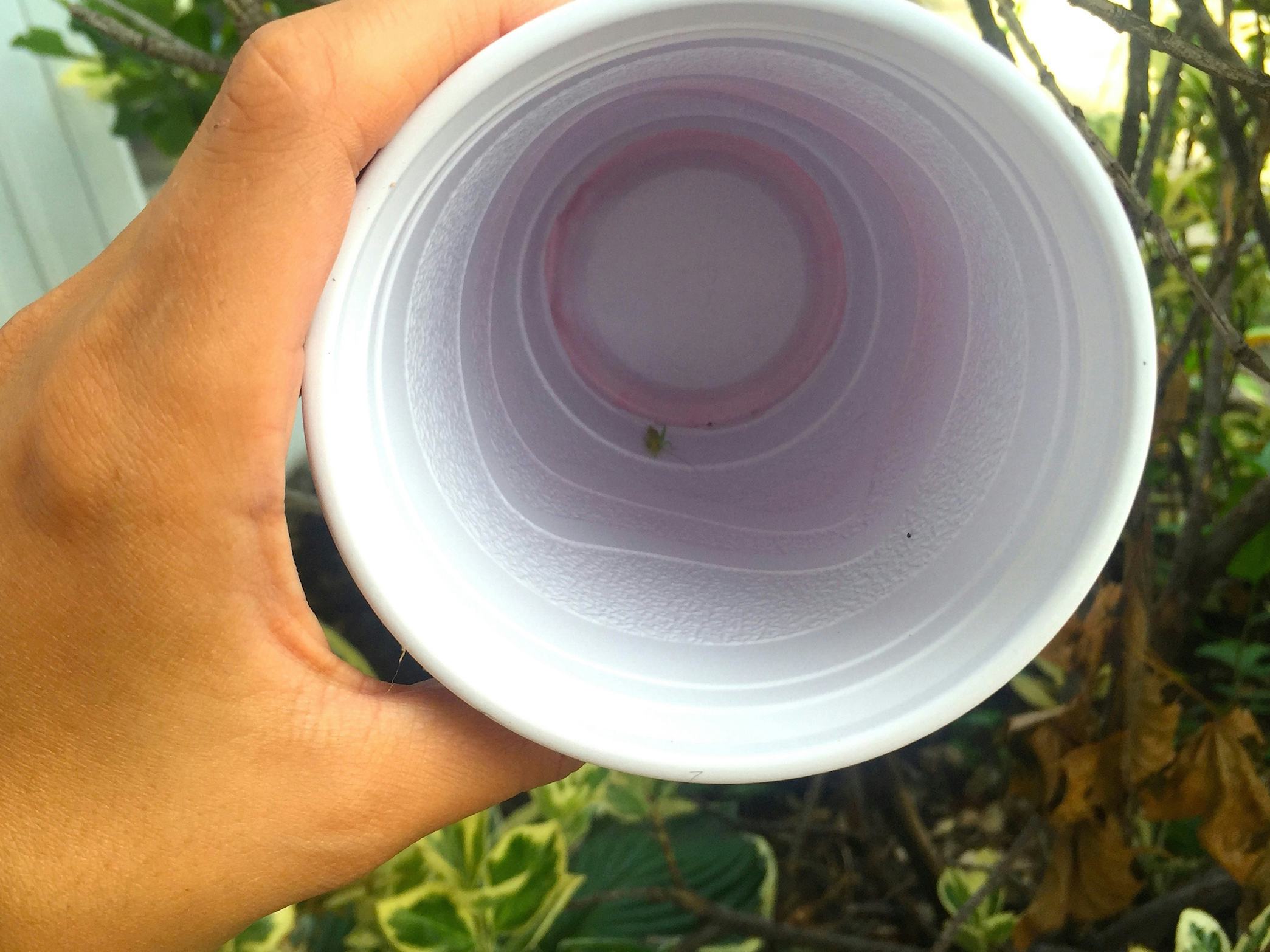 I Followed The 10 Principles Of Burning Man For A Day -- Here's What ...