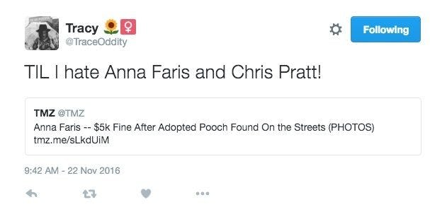 Chris Pratt And Anna Faris's Dog Was Found Homeless