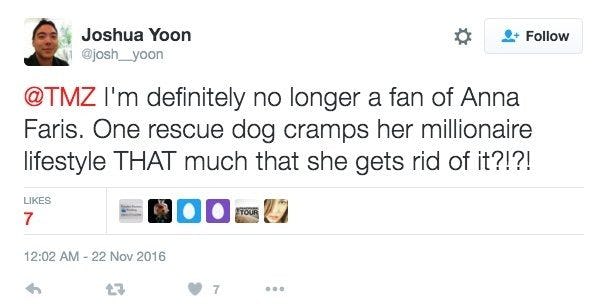 Chris Pratt And Anna Faris's Dog Was Found Homeless