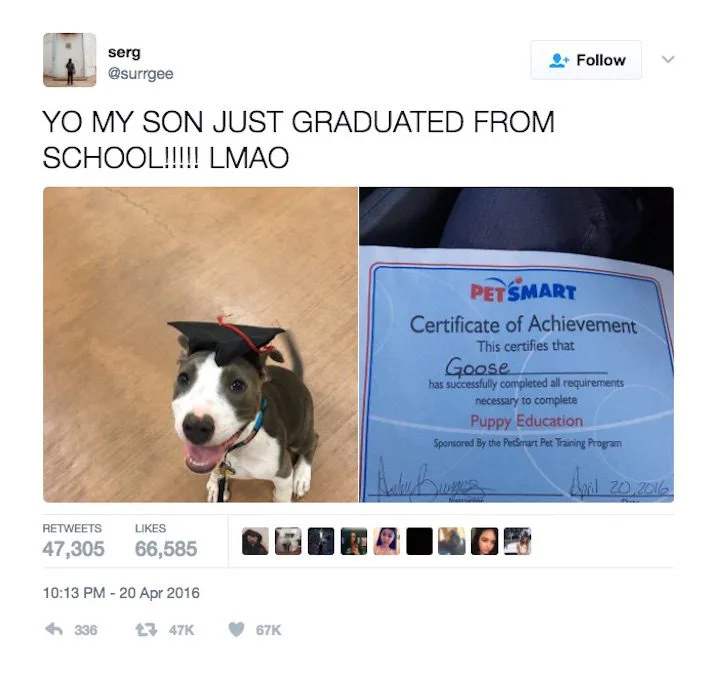 23 Memes That Express How You Feel About Student Loans