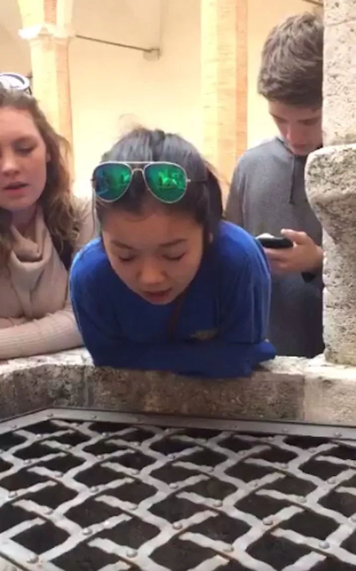 Beautiful Video Of Girl Singing Into Well Will Give You Shivers