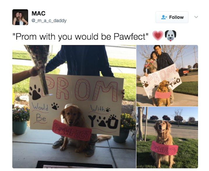 16 Of The Most Creative Promposals On The Internet