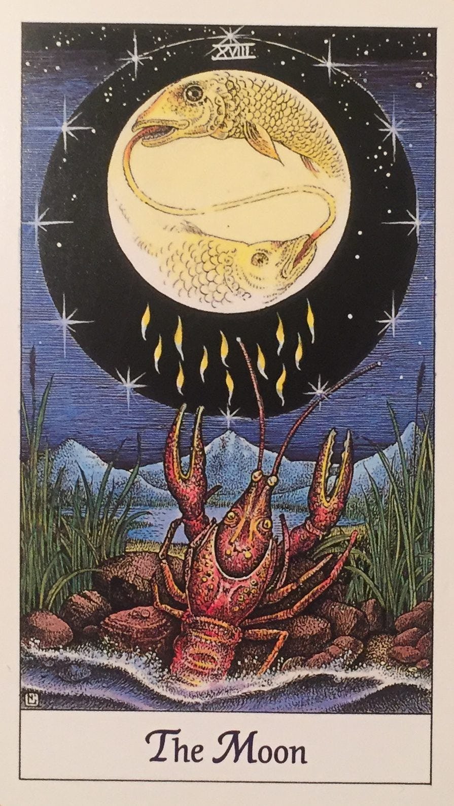 Which Tarot Sign Matches My Zodiac Sign? Here's What It Means