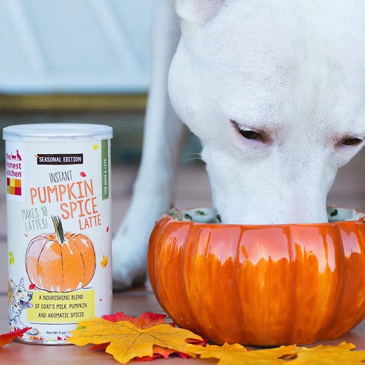 This Pumpkin Spice Latte For Your Dog Is All Of Your Basic Fall Dreams ...