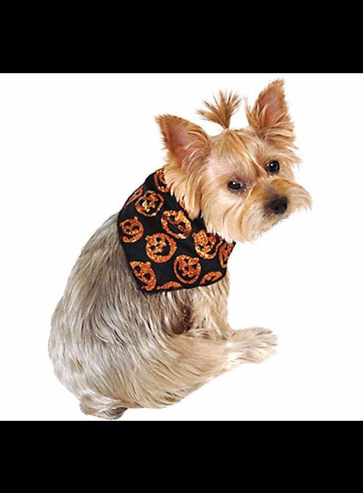 12 Dog Halloween Costume Ideas That Are Way Too Cute For Words