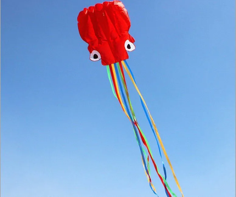 6 Best Kites For Kids