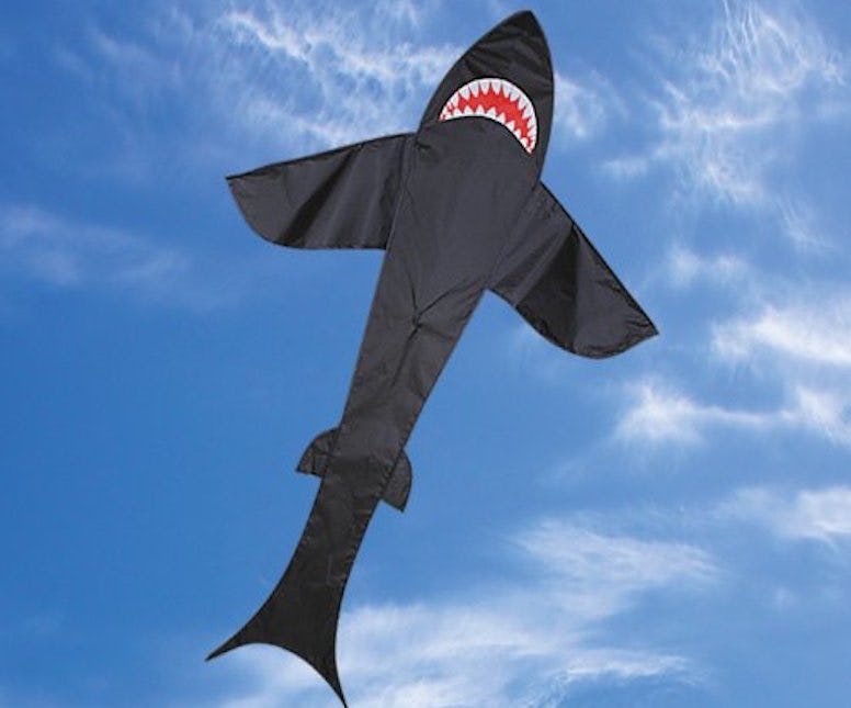 6 Best Kites For Kids