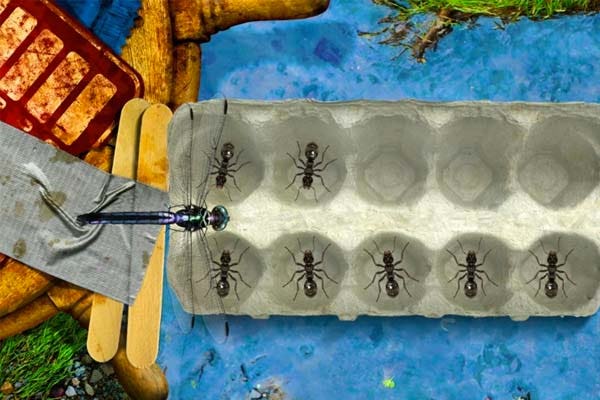 The 10 Best Math Apps For Preschoolers That Teach Basic Arithmetic