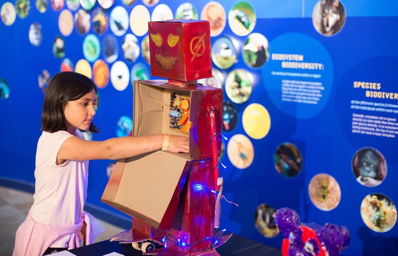 The Top Children's Museums In America With STEM Exhibits