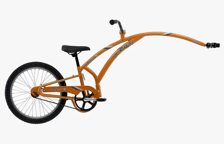 Best Bike Trailers & Bike Seats For Kids