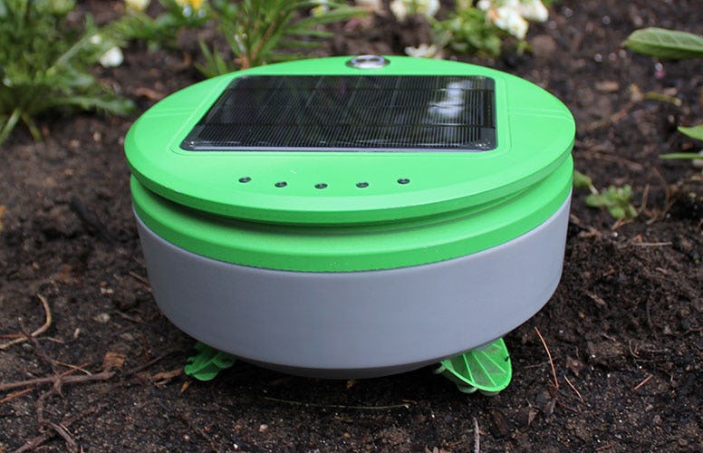 Tertill Is A Solar-Powered Weeding Robot For Home Gardens